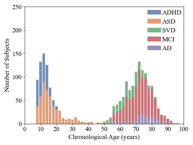 GitHub - zhaonann/brain-age-estimation-from-sMRI: Brain age estimation from sMRI based on multi ...